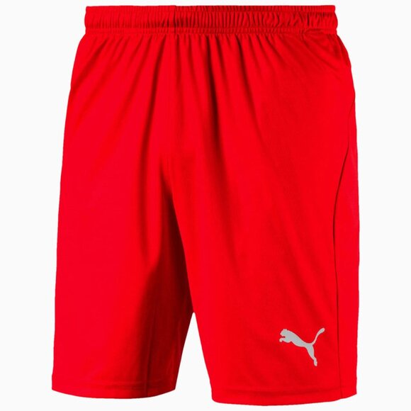 Puma | Shorts | Mens Liga Core Shorts | Poshmark